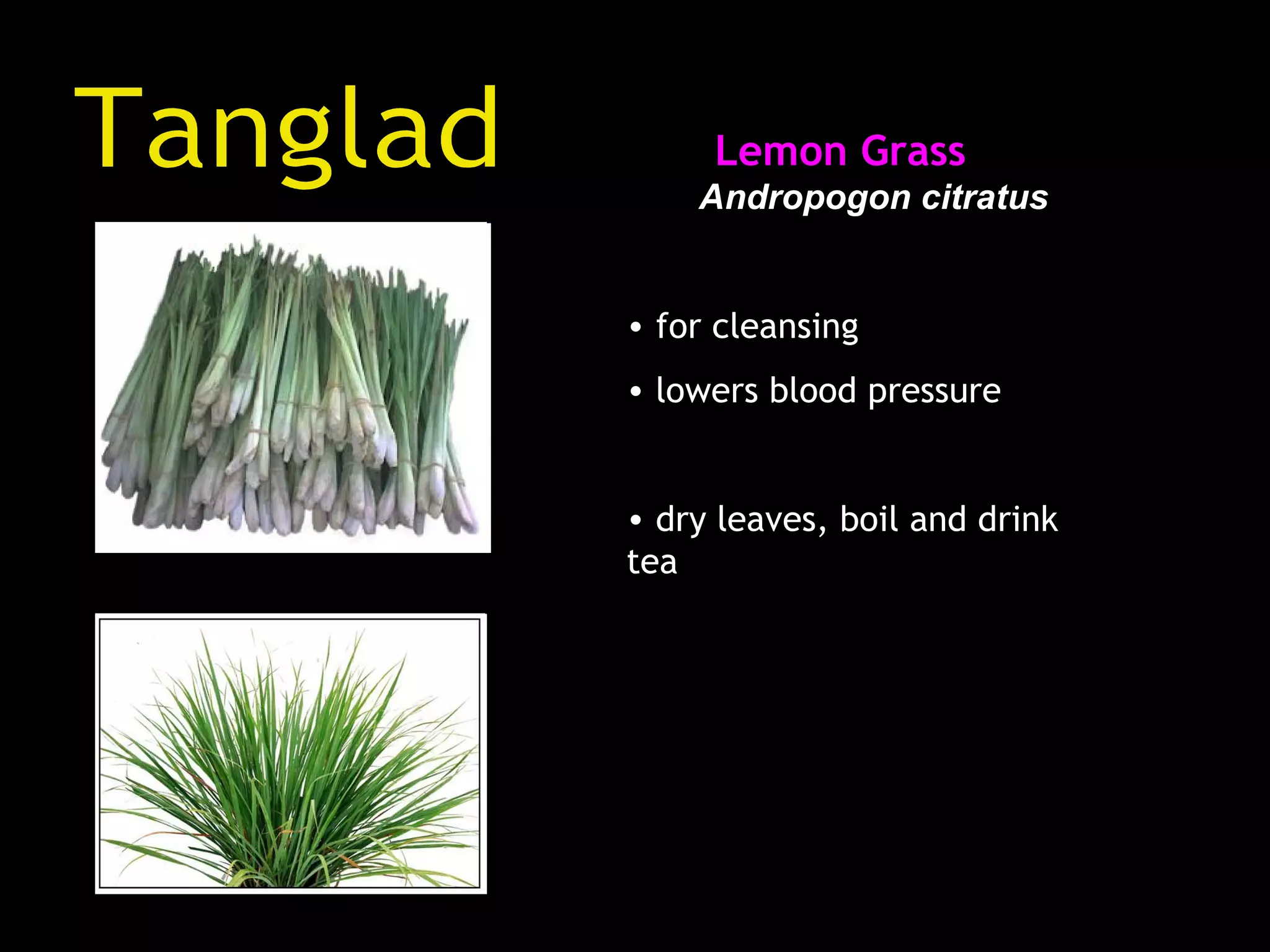 Bugkalot Tribe | PPT