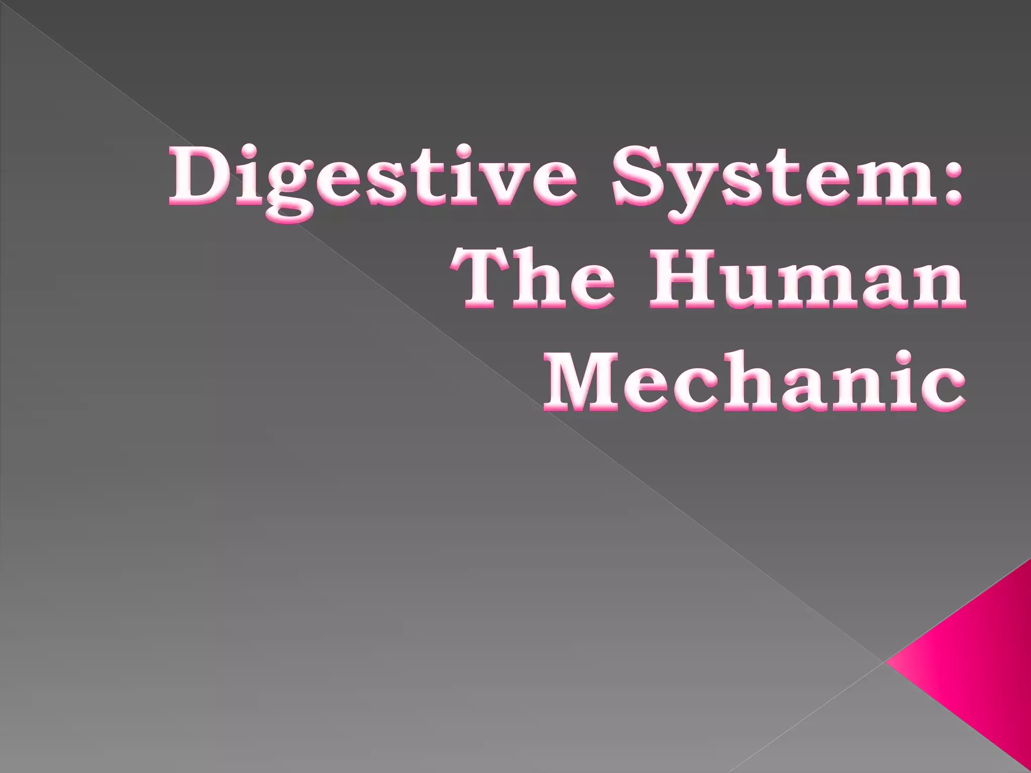 Digestive system | PPT