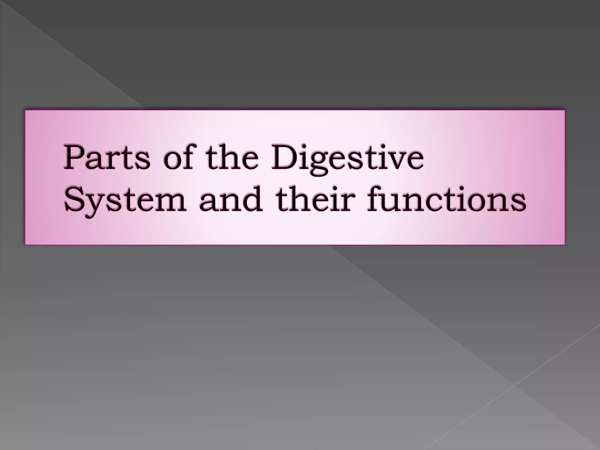 Digestive system | PPT