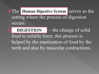 Digestive system | PPT