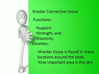 connective tissue | PPTX