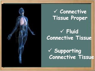 connective tissue | PPTX