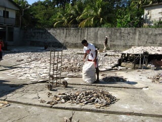 National Standards for Foreign Language Learning | PPT