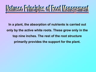 Natueco Farming slide show presentation | PDF
