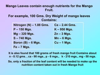 Natueco Farming slide show presentation | PPT