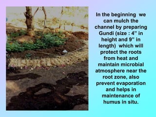 Natueco Farming slide show presentation | PDF