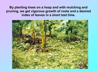 Natueco Farming slide show presentation | PDF