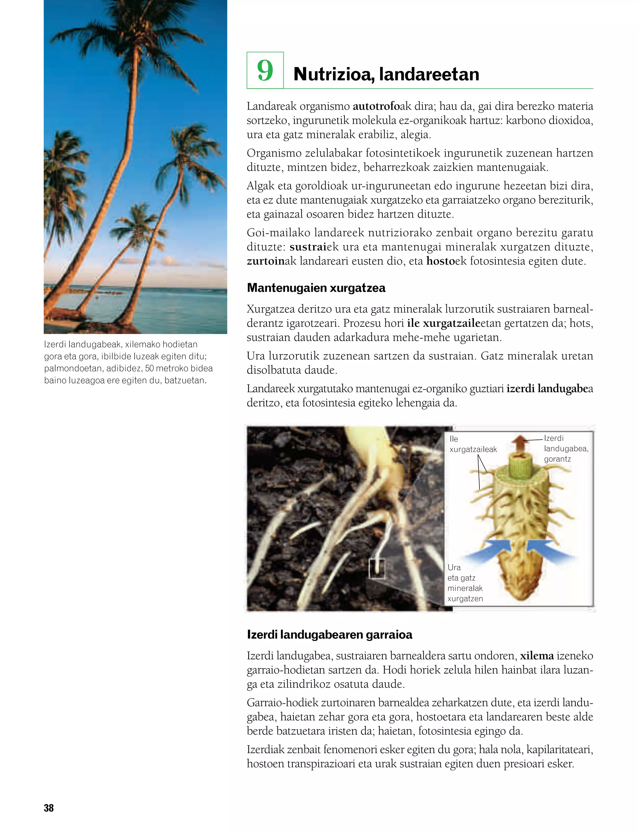 Natur 2º dbh (liburua) | PDF