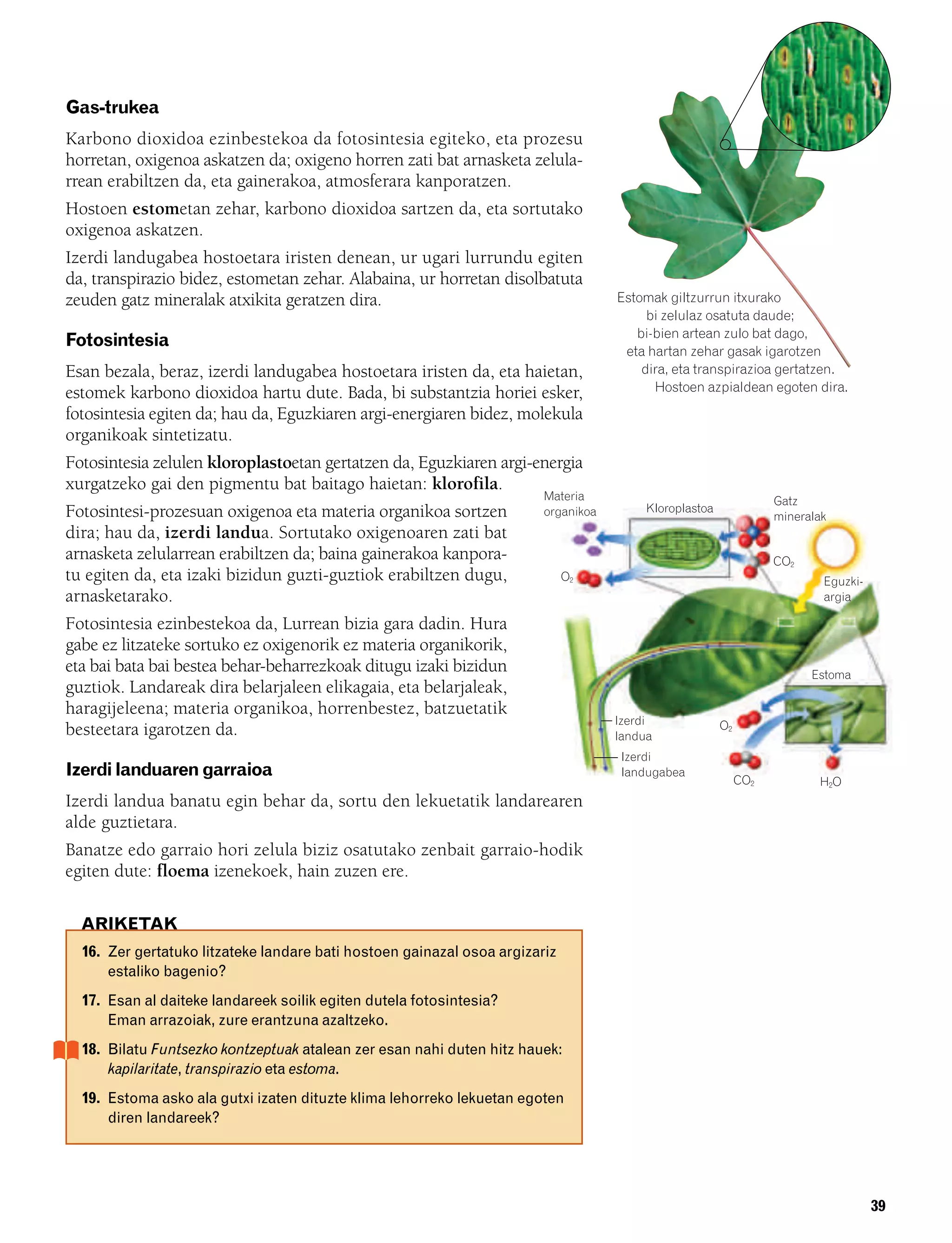 Natur 2º dbh (liburua) | PDF