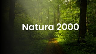 Natura 2000 (Λίμνη Κερκίνη) Θωμάς Αυγενάκης Α1.pdf