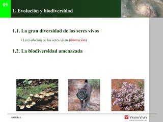 Clasificación de los seres vivos | PPT