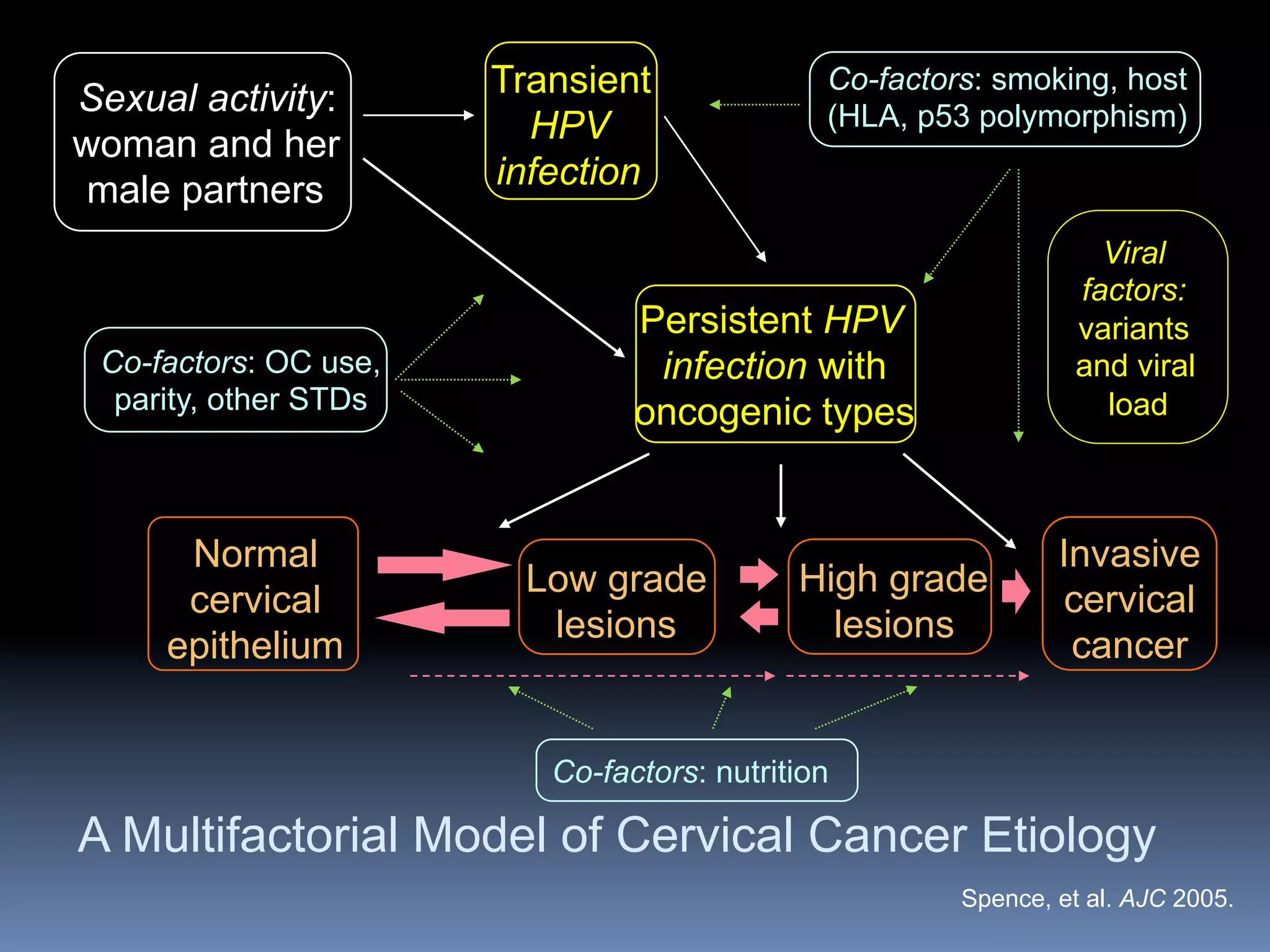 Natural history and pathogenesis of hpv | PDF