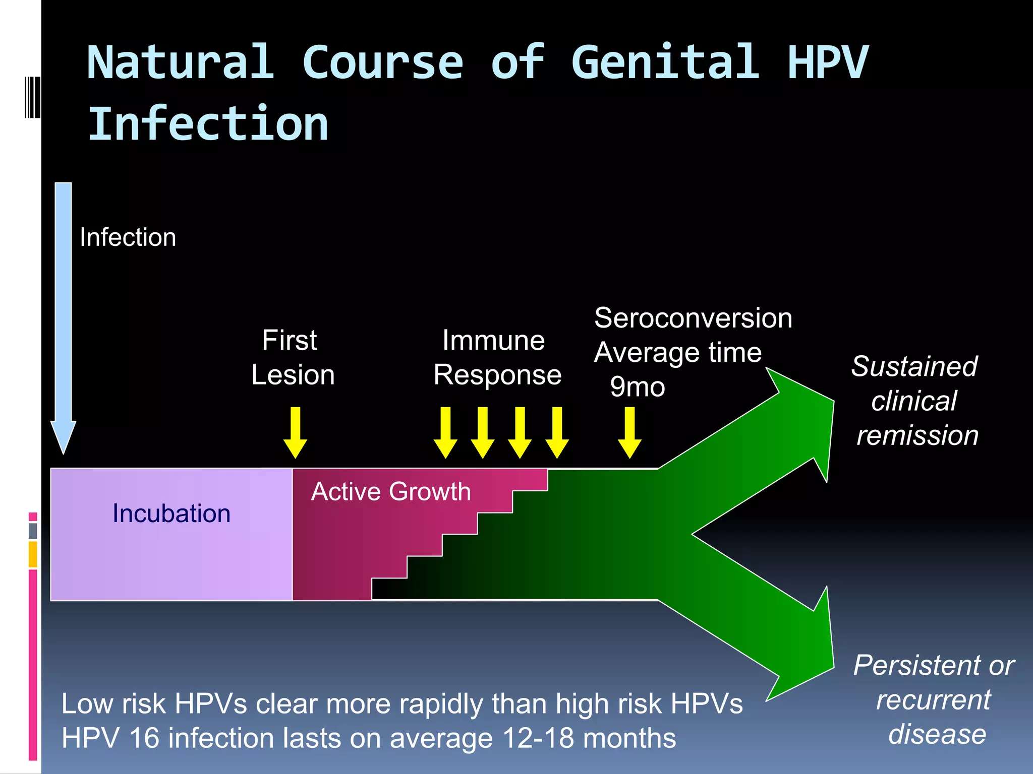 Natural history and pathogenesis of hpv | PDF