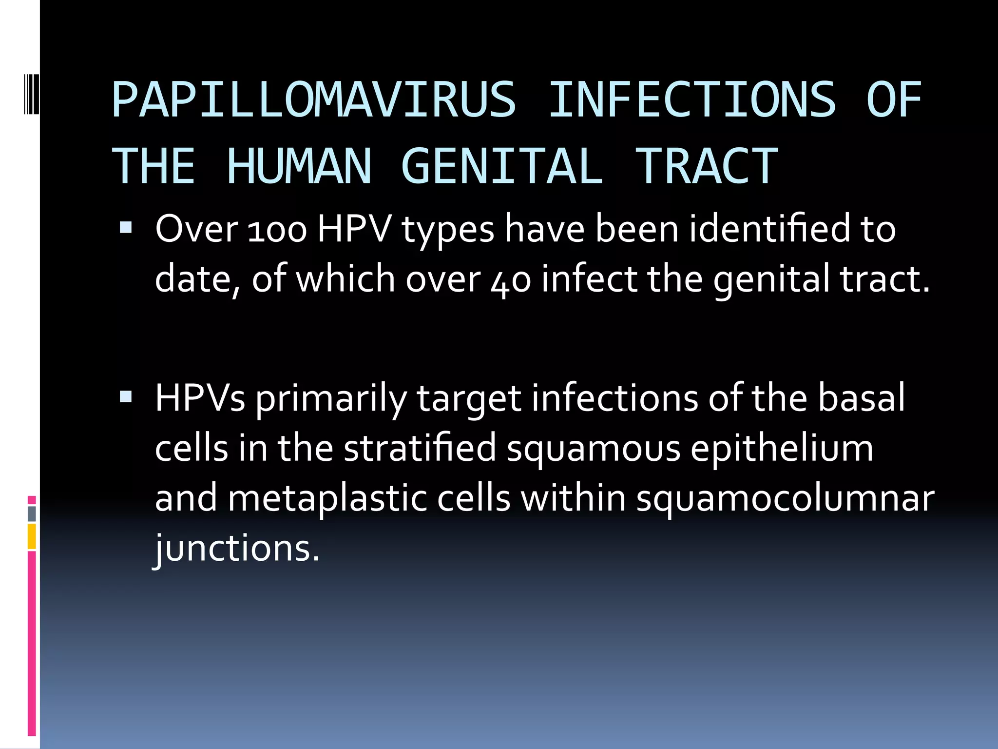 Natural history and pathogenesis of hpv | PDF