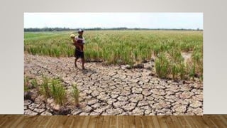 Natural-Disasters - volcanoes, earthquakes | PPTX