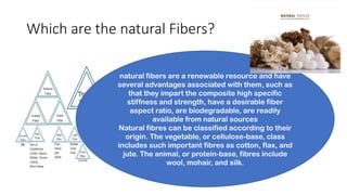 Natural fibers | PDF