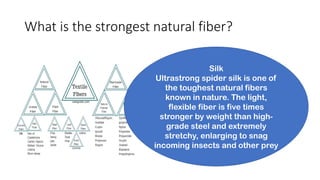 Natural fibers | PDF