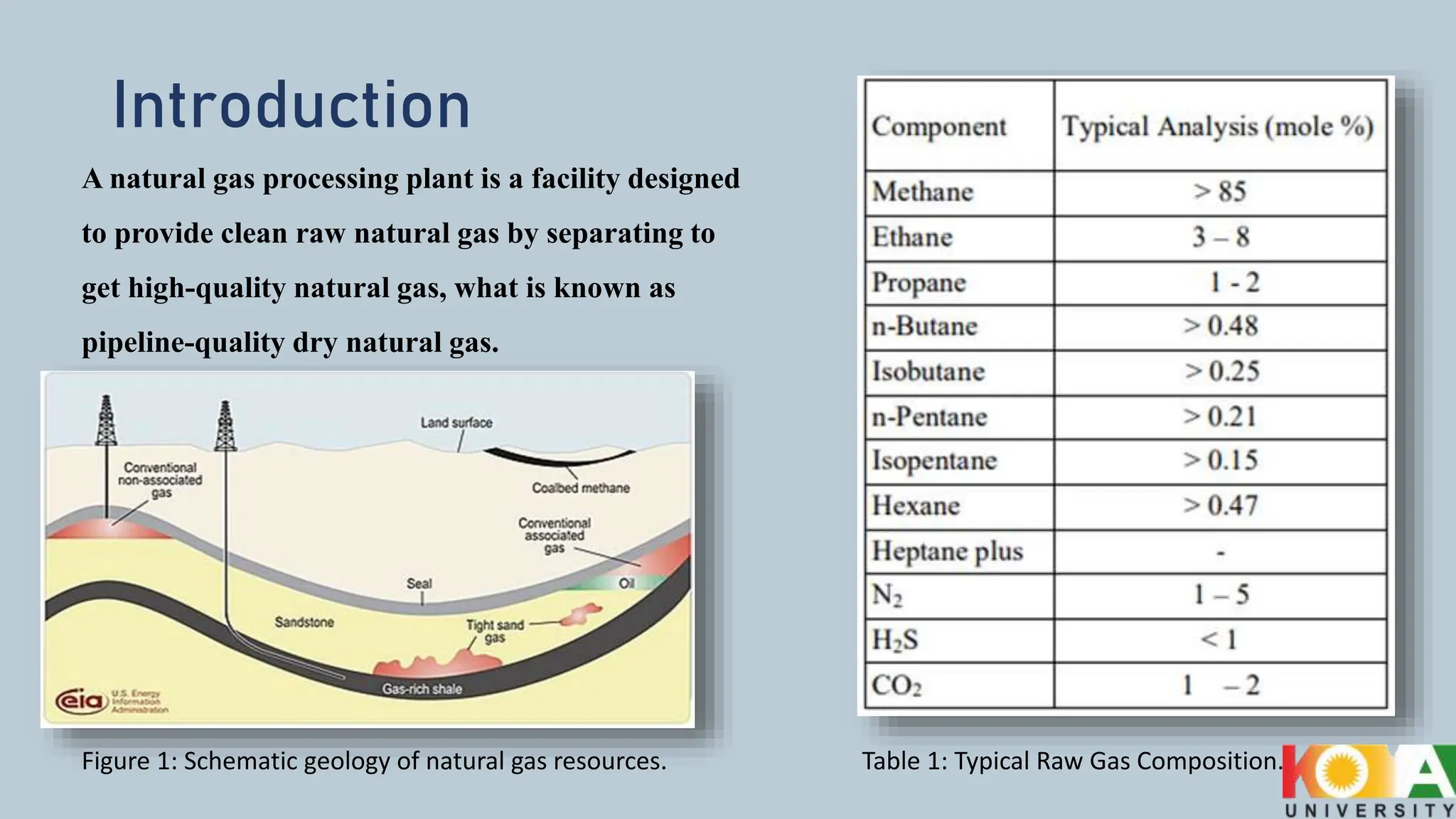 natural gas process | PPTX