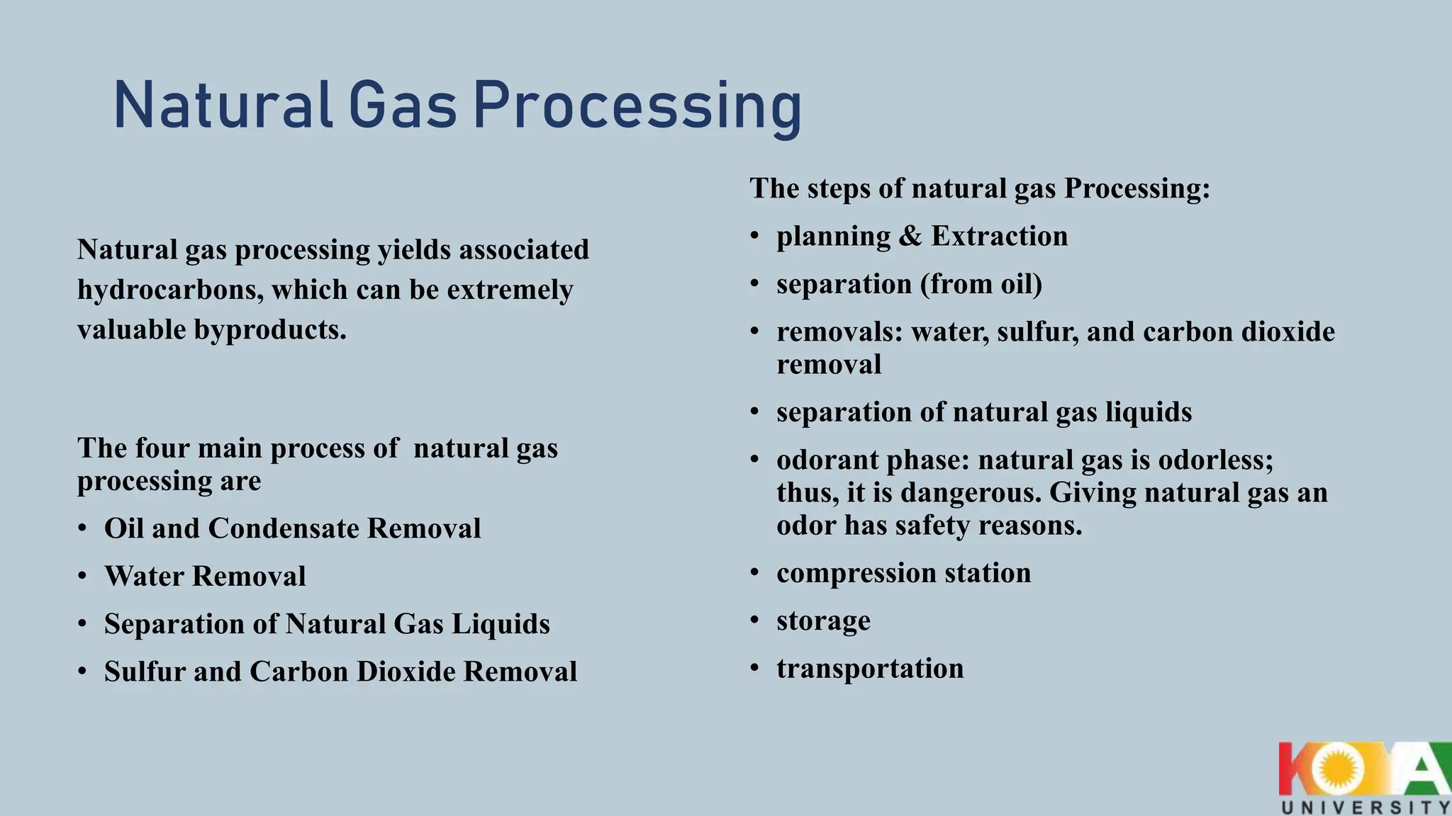 natural gas process | PPTX
