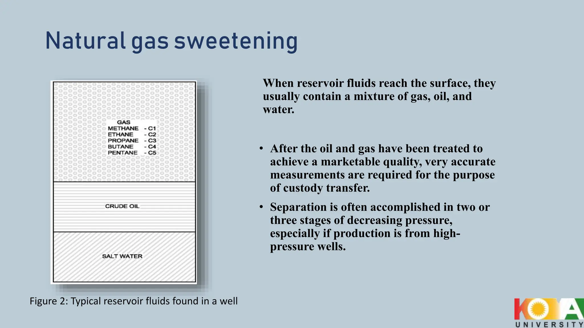 natural gas process | PPTX