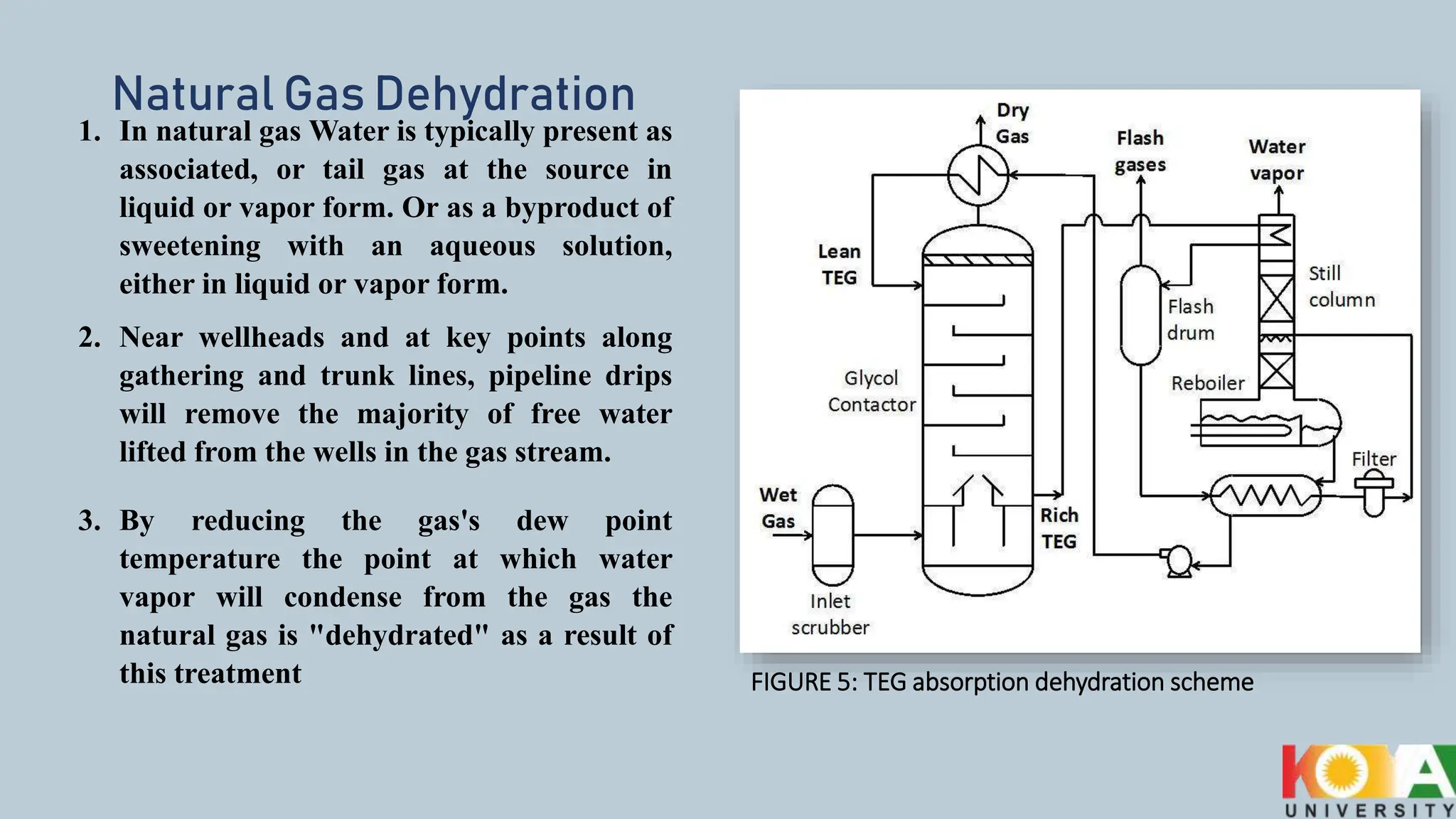 natural gas process | PPTX