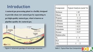 natural gas process | PPTX