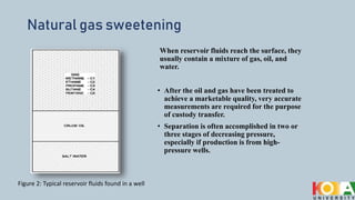 natural gas process | PPTX