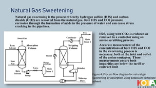 natural gas process | PPTX