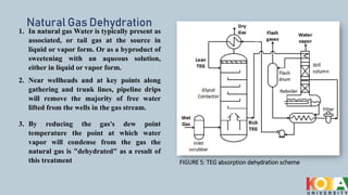 natural gas process | PPTX