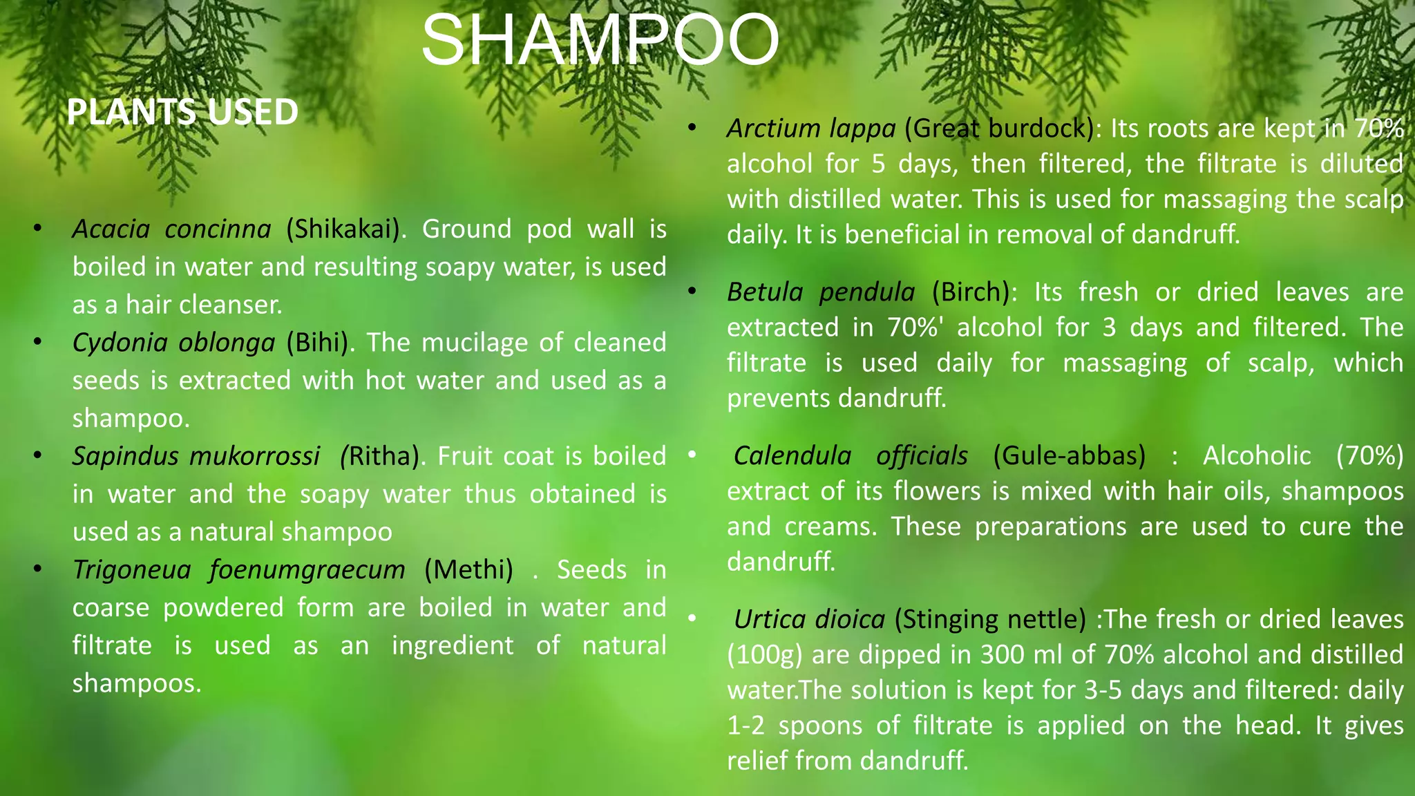 Herbal Cosmetics | PPTX