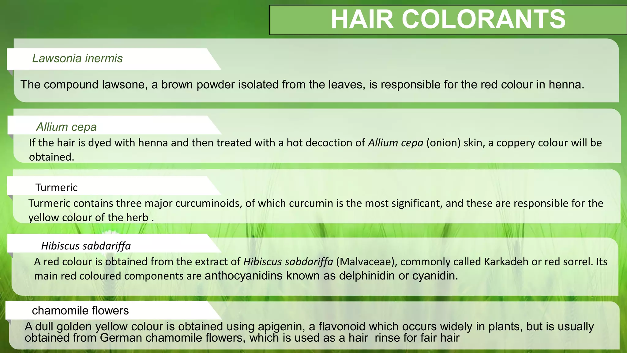 Herbal Cosmetics | PPTX