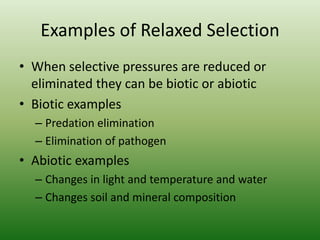 Natural, Relaxed, and Artificial Selection | PPTX
