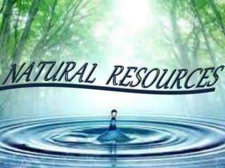 Natural Resources Conservation | PPT
