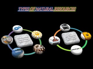 Natural Resources Conservation | PPT