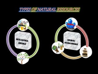Natural Resources Conservation | PPT