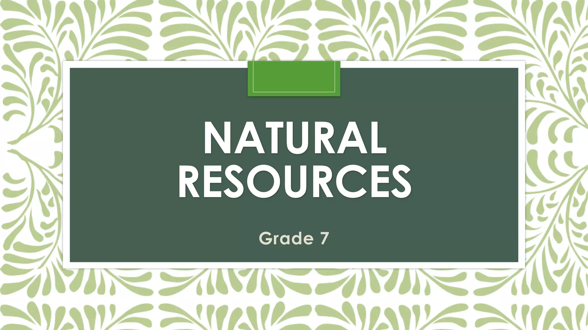 Natural-Resources-powerpoint-MS.-NOWRY.pdf