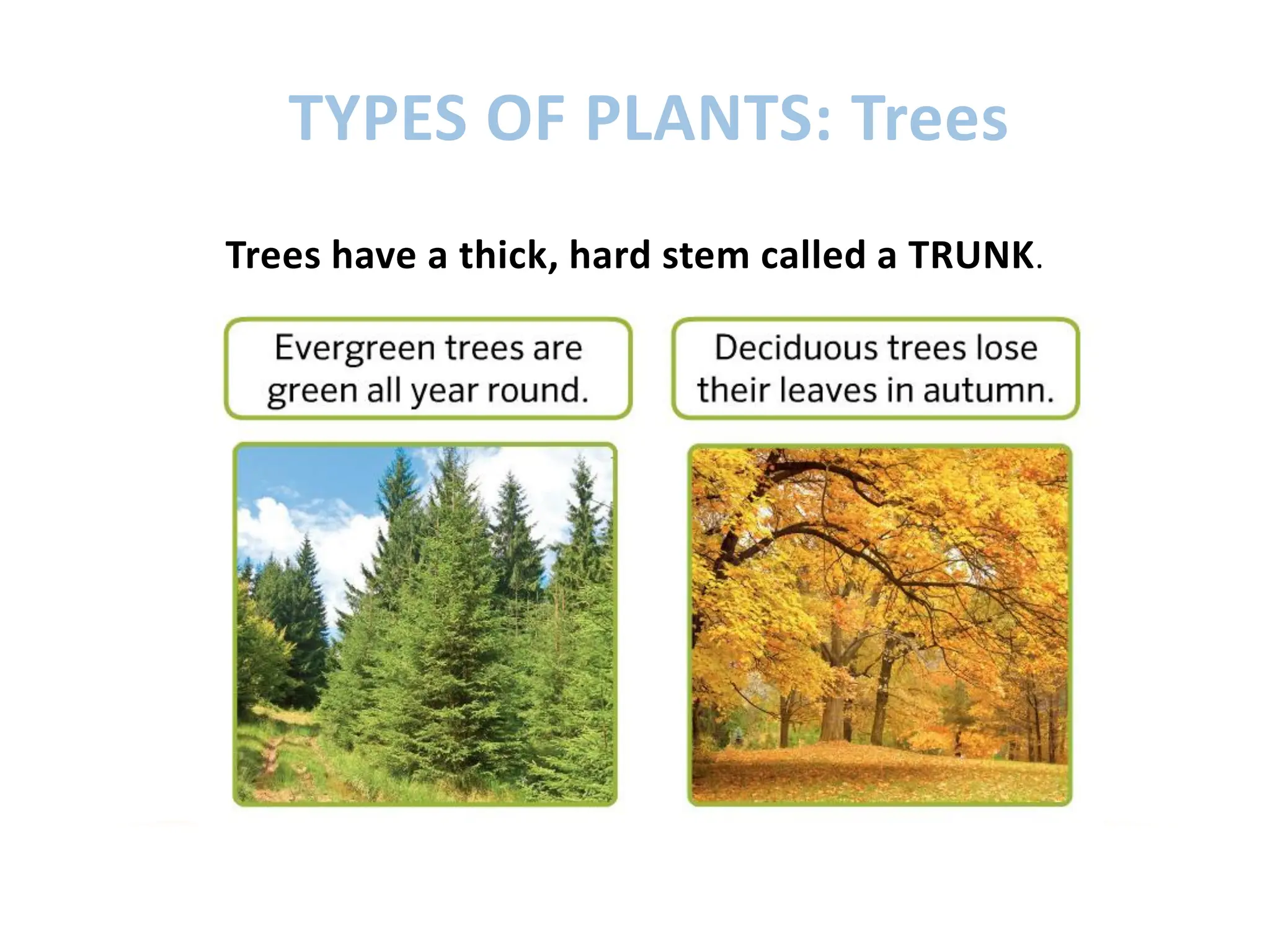 natural science natural science presentatio | PDF