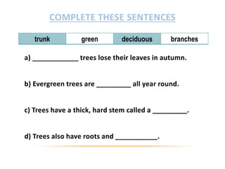 natural science natural science presentatio | PDF