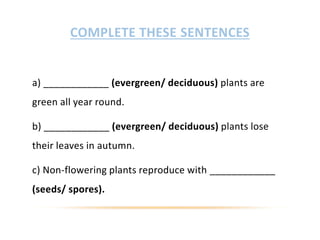 natural science natural science presentatio | PDF