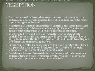 NATURAL-VEGETATIO-II.pptx