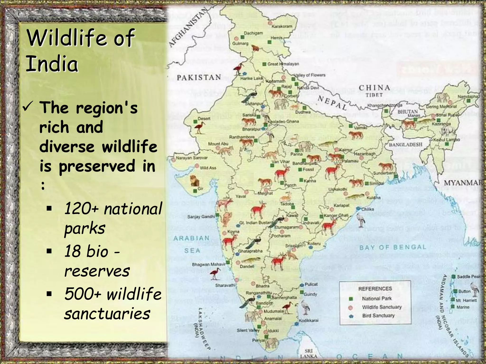 natural-vegetation-wildlife svis 100000 #tanmay Rajesh | PPTX