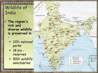 TANMAY RAJESH NATURAL VEGETATION AND WILDLIFE CLASS 9 SOCIAL SCIENCE ...