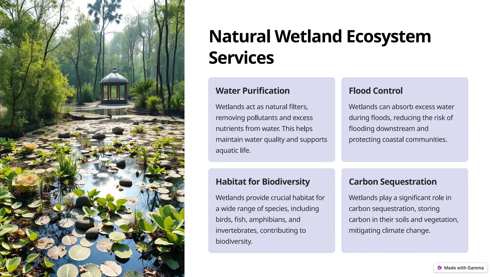 Natural-vs-Constructed-Wetlands-Understanding-the-Differences.pptx