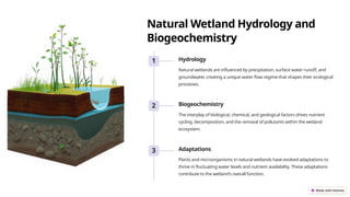 Natural-vs-Constructed-Wetlands-Understanding-the-Differences.pptx