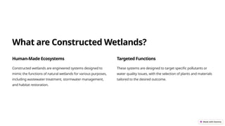 Natural-vs-Constructed-Wetlands-Understanding-the-Differences.pptx