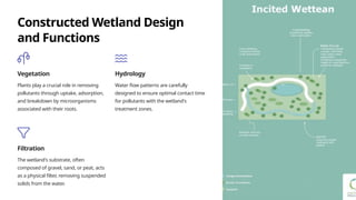 Natural-vs-Constructed-Wetlands-Understanding-the-Differences.pptx