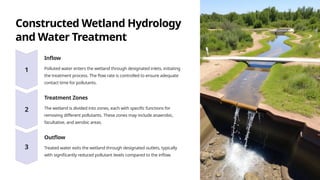 Natural-vs-Constructed-Wetlands-Understanding-the-Differences.pptx