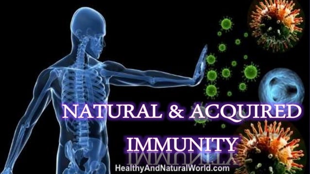 Natural and acquired immunity,several immune mechanisms are present in ...