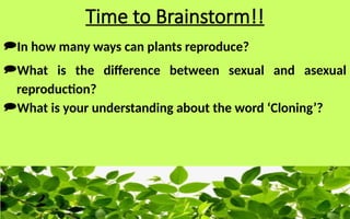 Natural and Artificial Cloning of Plants.pptx