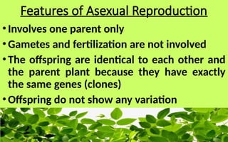 Natural and Artificial Cloning of Plants.pptx